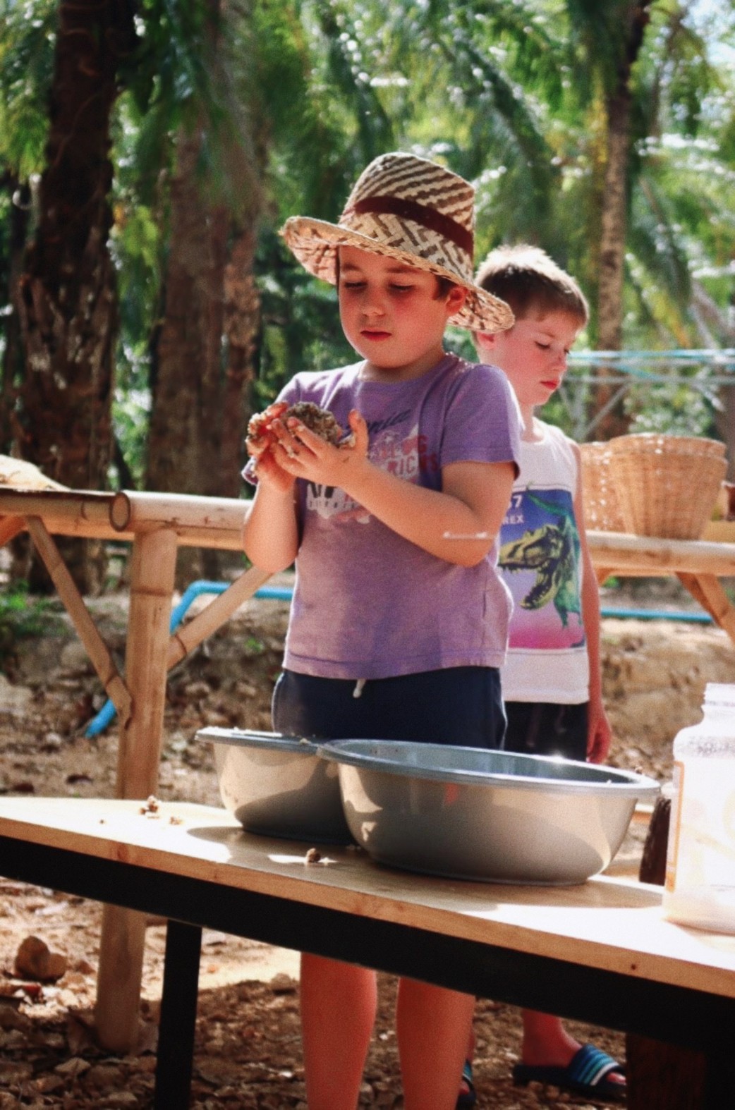 Gallery | The Elephant Sanctuary Krabi
